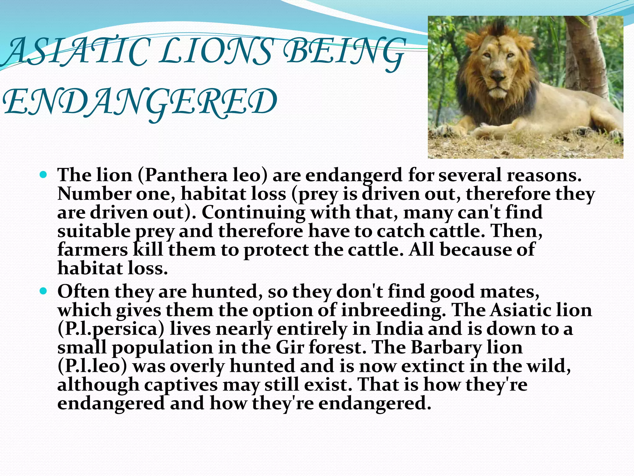 Wildlife conservation | PPT