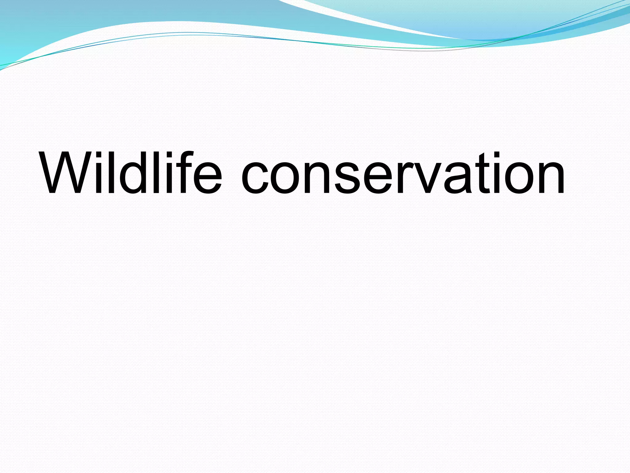 Wildlife conservation | PPT