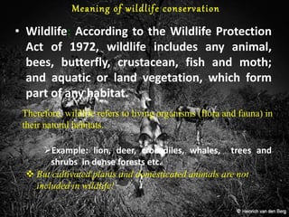 Wild life conservation | PPTX