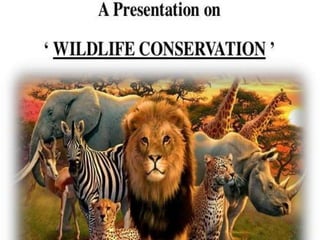 Wildlife Conservation.pptx
