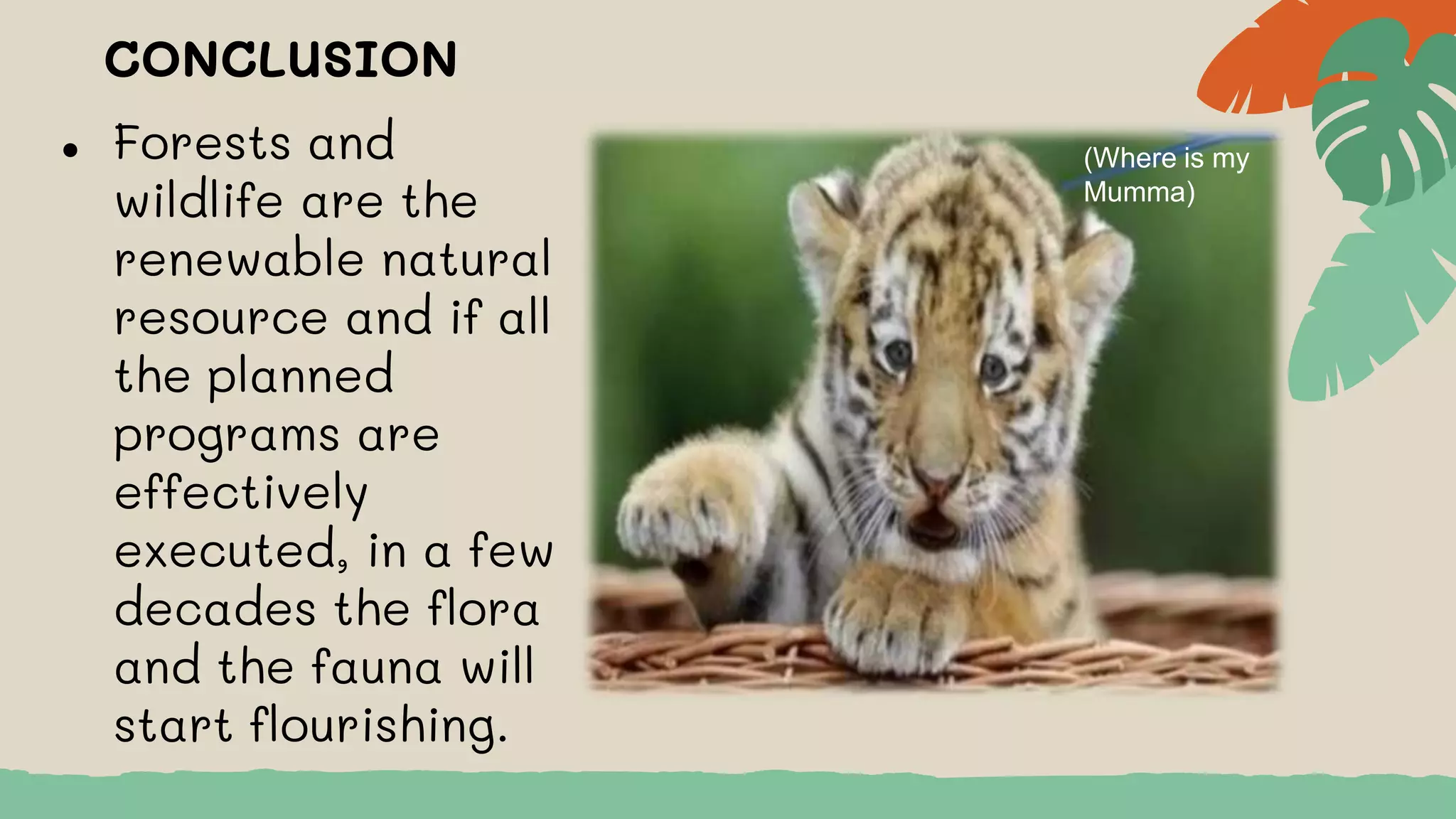 Wildlife Conservation.pptx