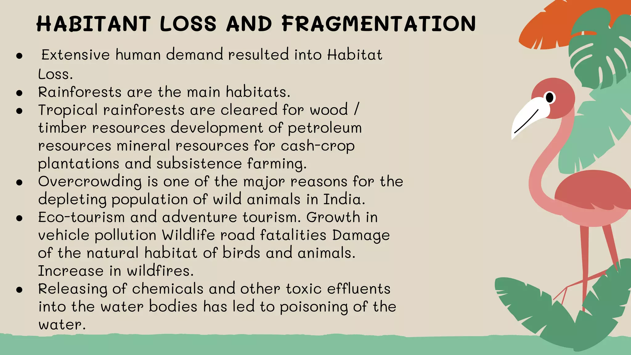 Wildlife Conservation.pptx