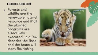 Wildlife Conservation.pptx