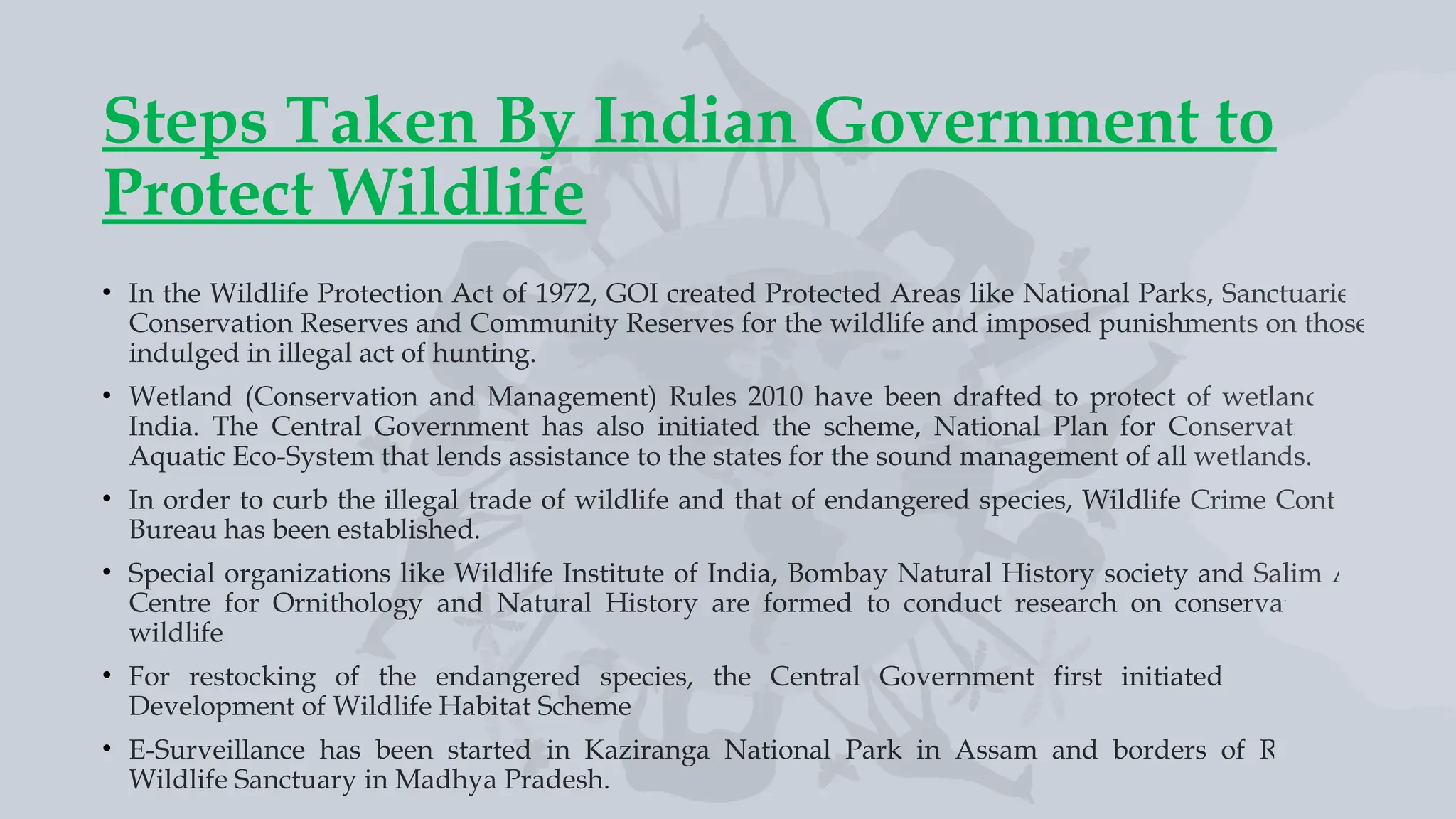 Wildlife Conservation.pptxerdfvdfgvfvgdfv | PPTX