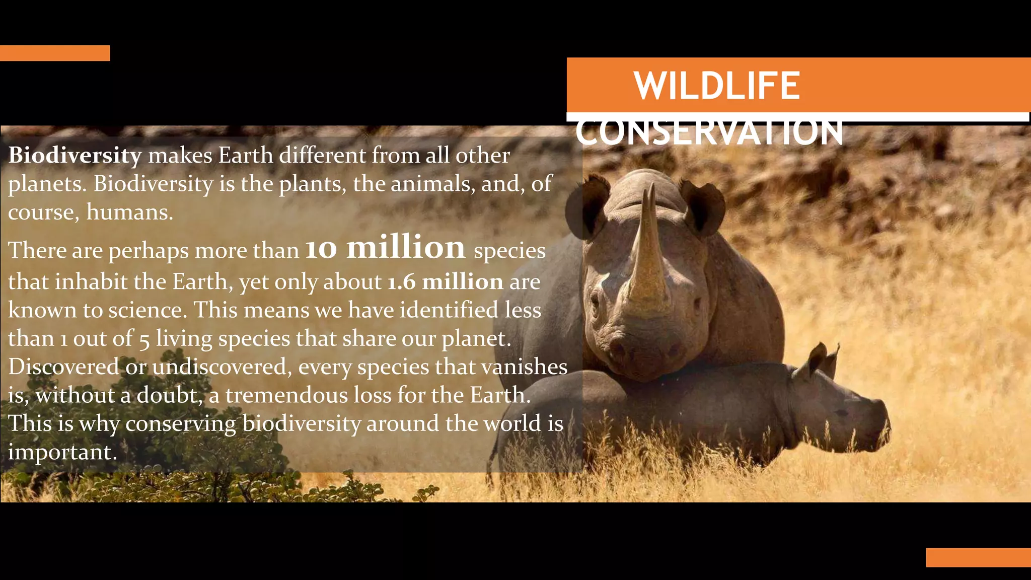 Wildlife Conservation | PPTX | Geography | Science