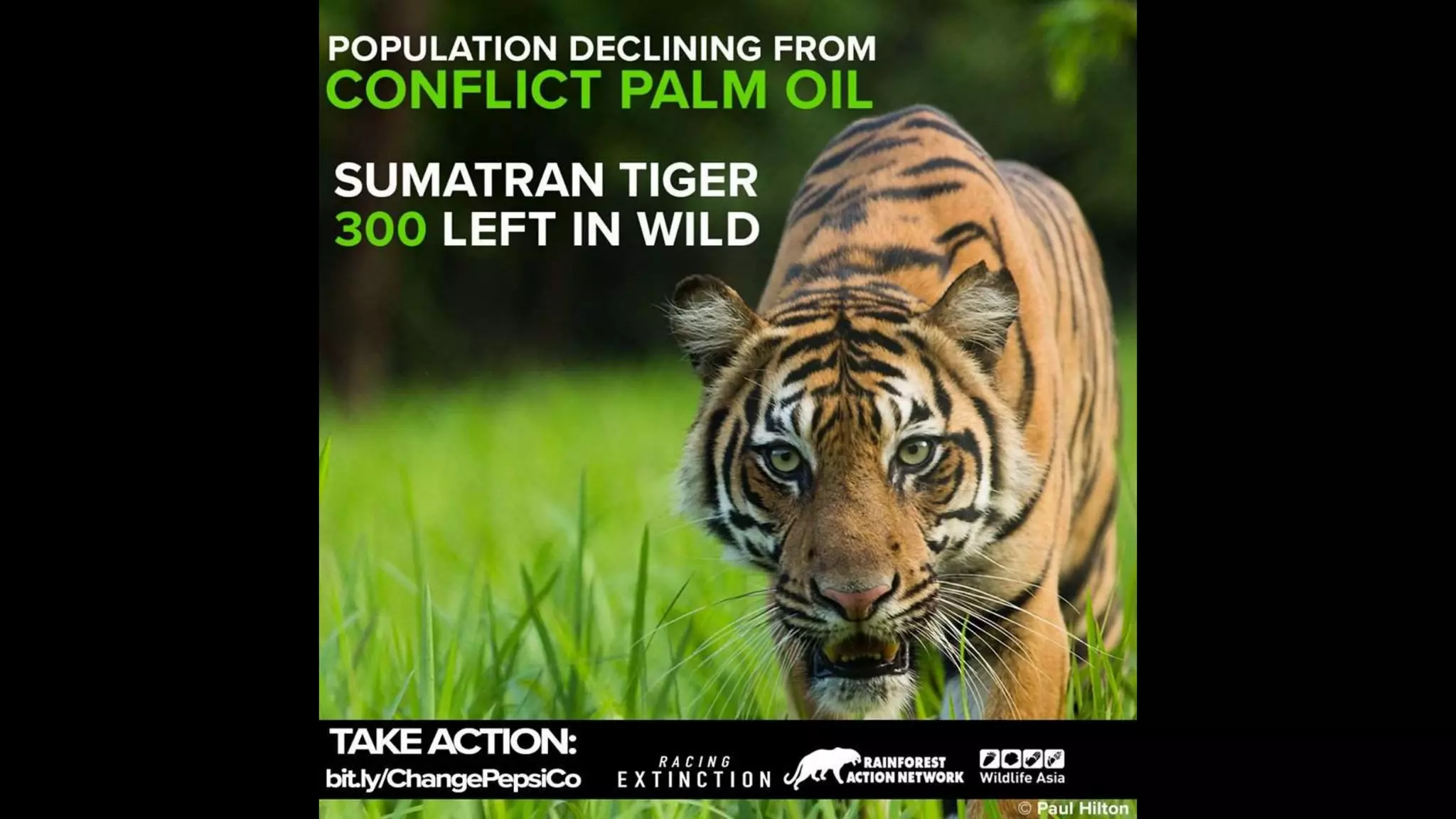 Wildlife Conservation | PPTX | Geography | Science