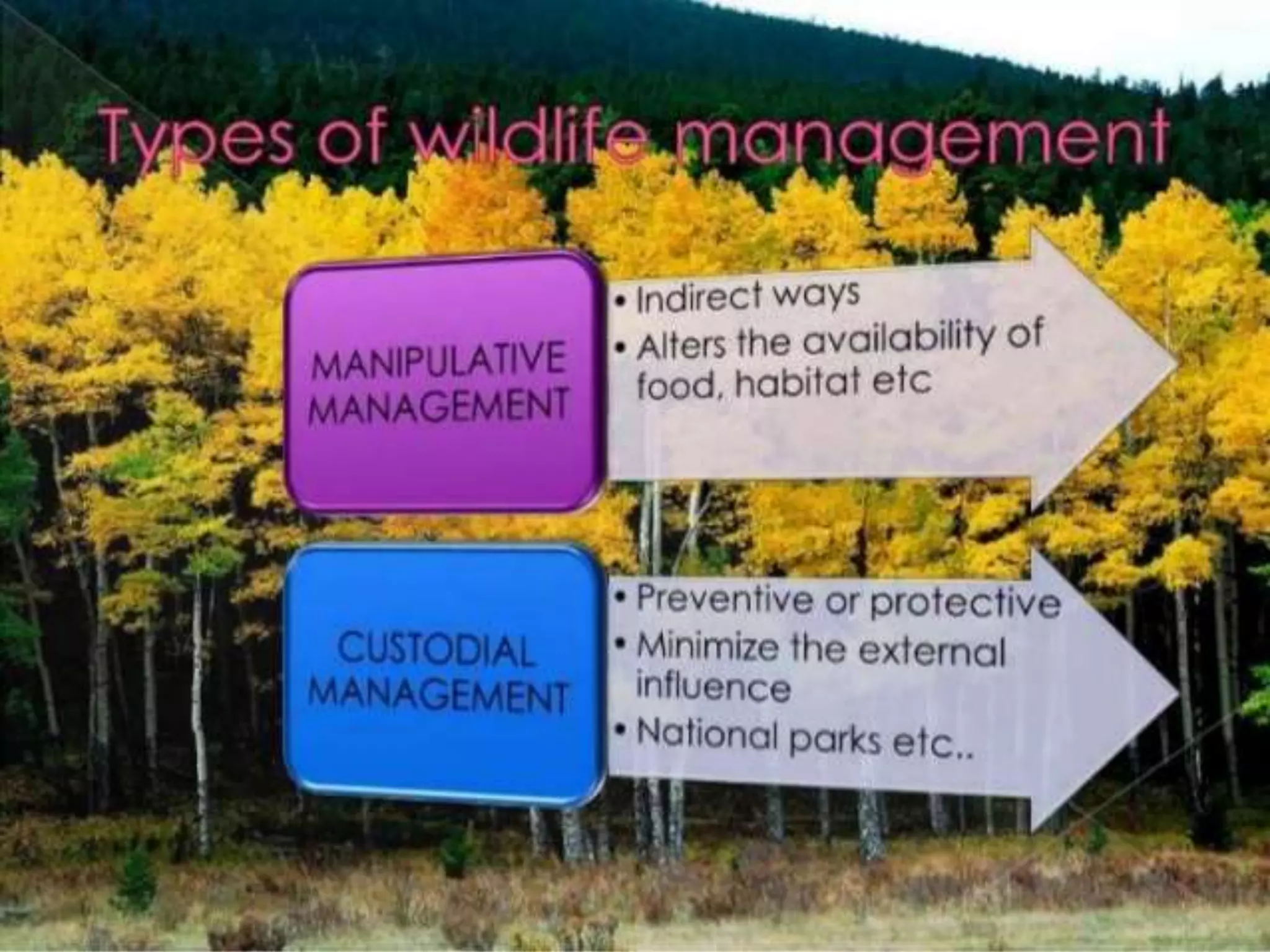 Wildlife conservation and its benefits | PPTX