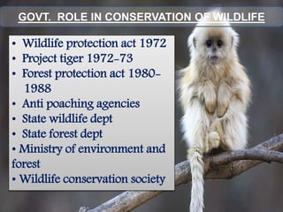Wildlife conservation and its benefits | PPTX