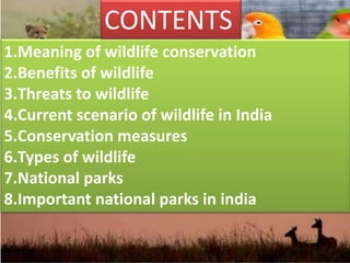 Wildlife conservation and its benefits | PPTX