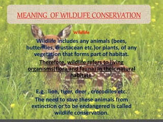 Wildlife conservation and its benefits | PPTX