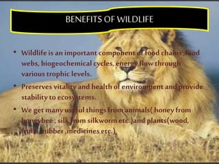 Wildlife conservation and its benefits | PPTX
