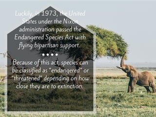 Wildlife Conservation in the U.S. | PDF