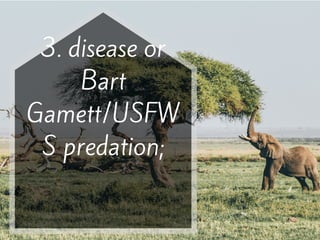 Wildlife Conservation in the U.S. | PPT