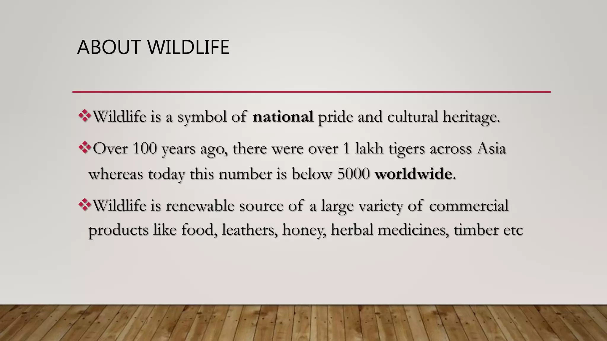 Wildlife Conservation Ppt Pptx