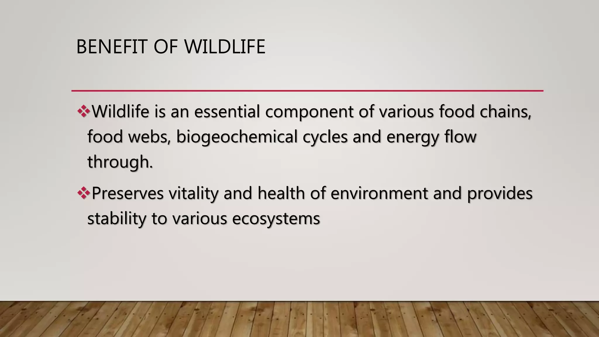 Wildlife conservation ppt | PPTX