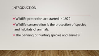 Wildlife conservation ppt | PPTX