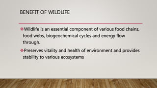 Wildlife conservation ppt | PPTX