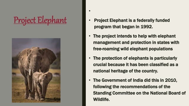 Wildlife conservation projects in INDIA | PPTX | Zoos & Aquariums | Attractions