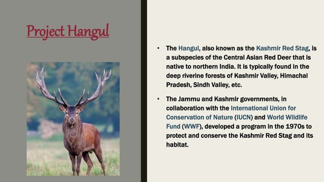 Wildlife conservation projects in INDIA | PPTX | Zoos & Aquariums ...