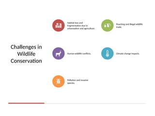 An Introduction to Wildlife Conservation in India | PPTX