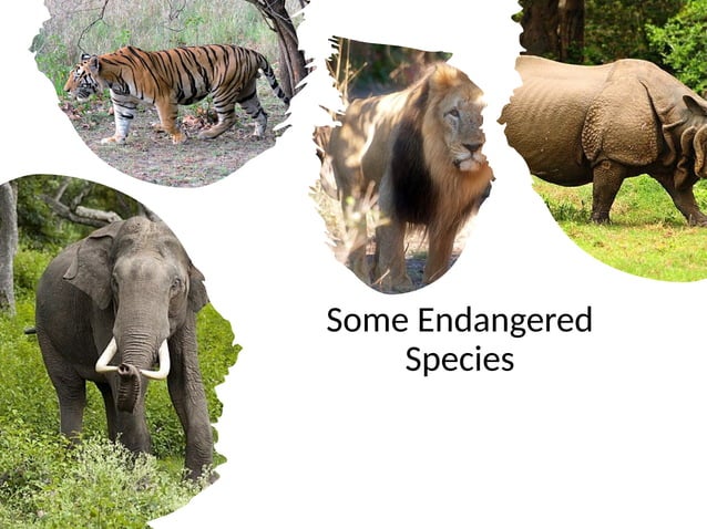 An Introduction to Wildlife Conservation in India | PPT