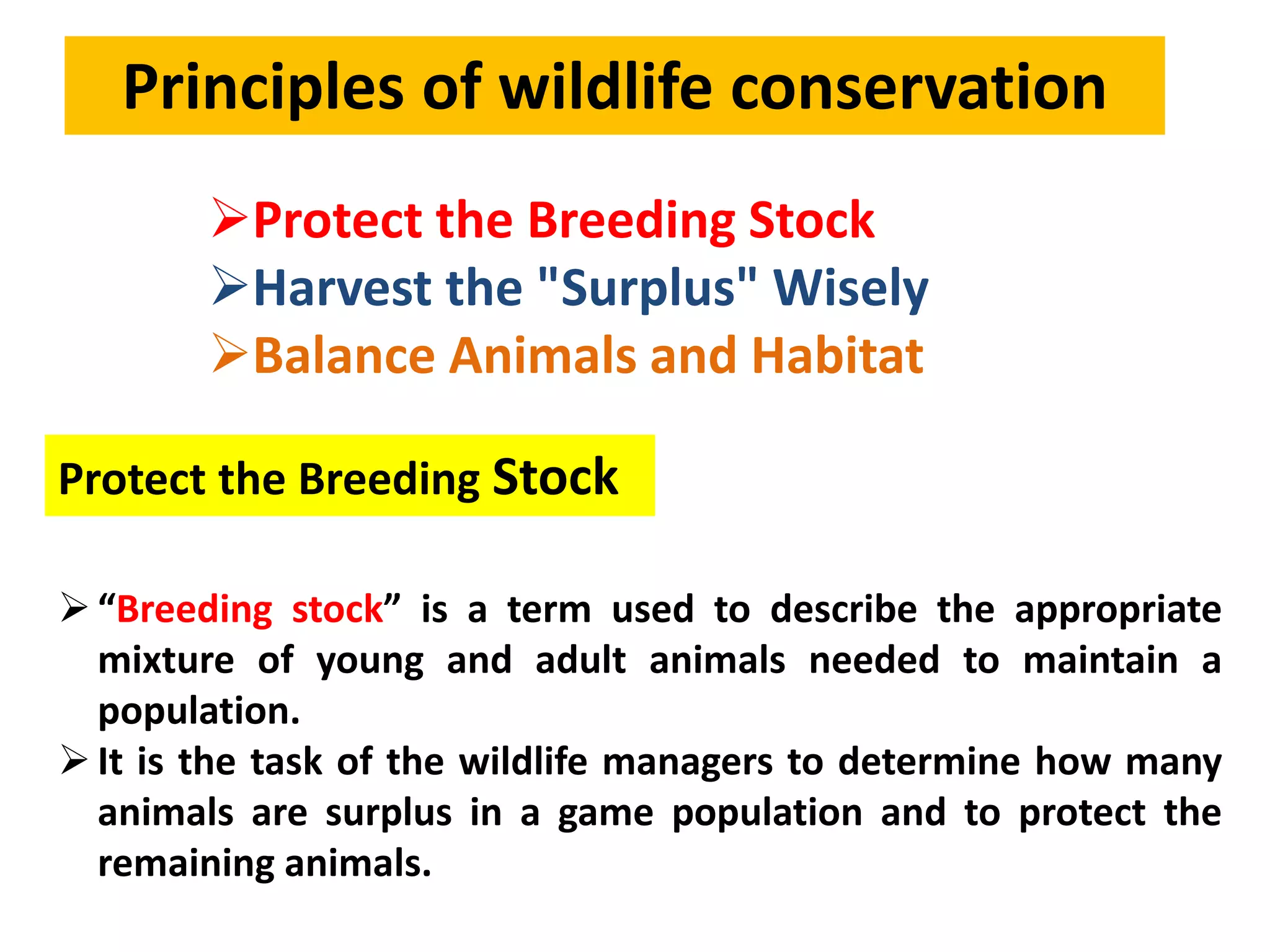 Wildlife conservation | PPTX