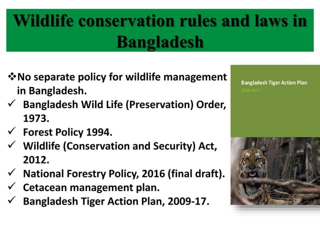 Wildlife conservation | PPTX | Environment | Science