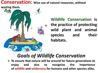 Wildlife conservation | PPTX