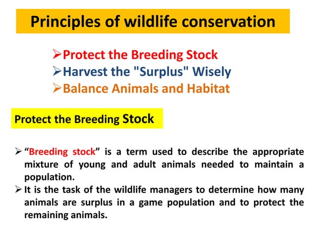 Wildlife conservation | PPTX | Environment | Science