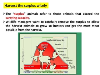 Wildlife conservation | PPTX