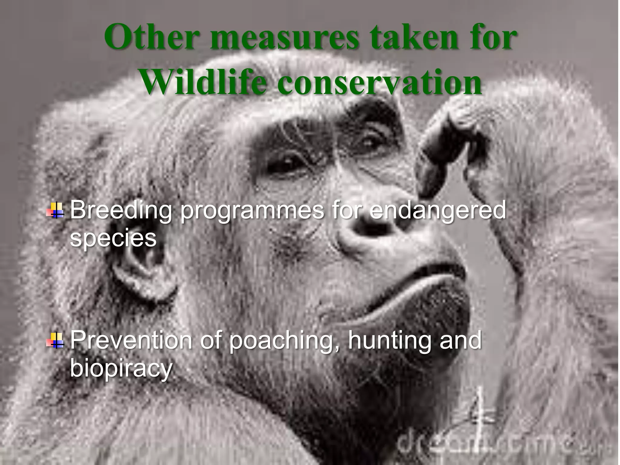 Wildlife conservation in India(ppt) | PPTX