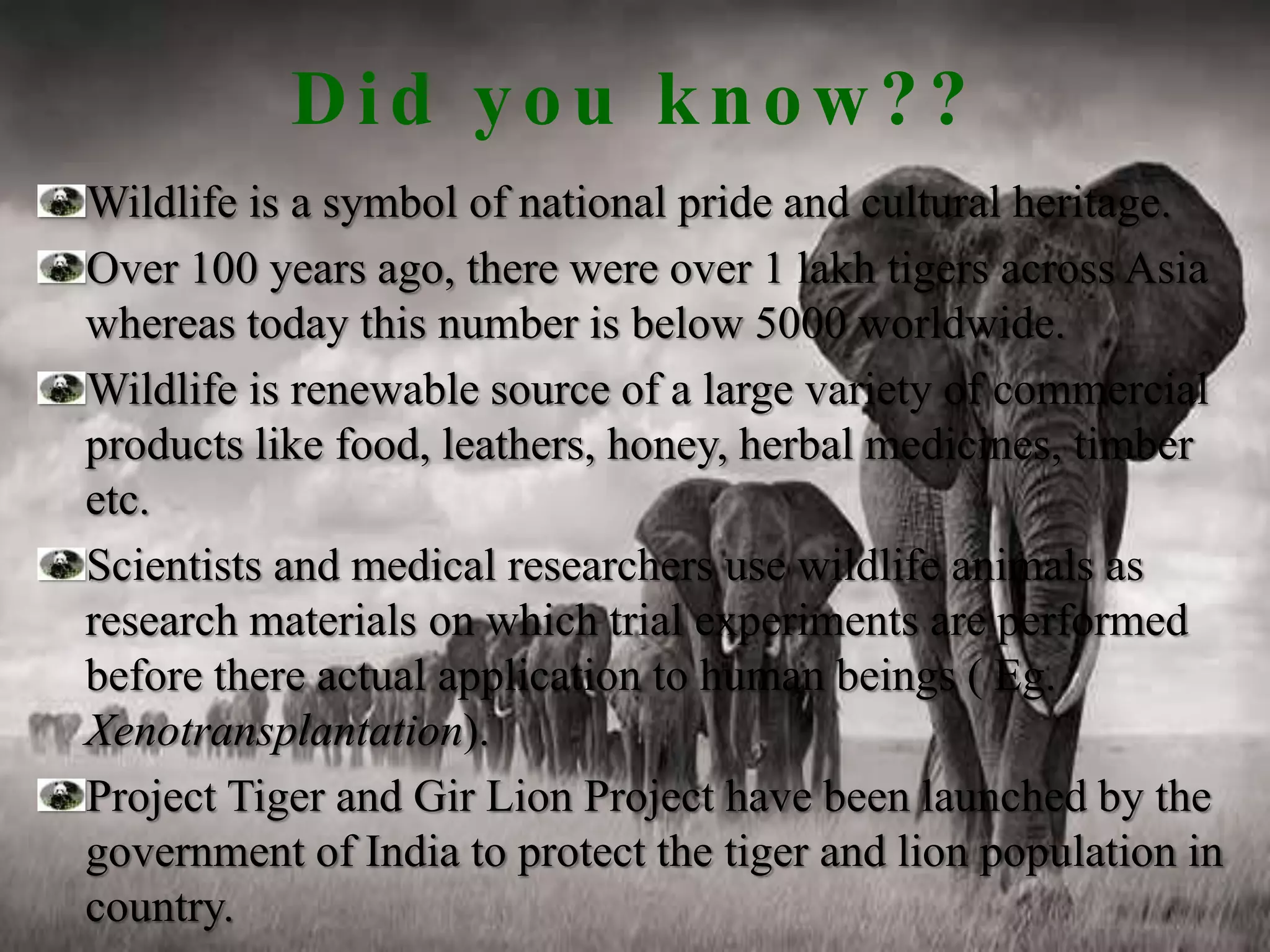 Wildlife conservation in India(ppt) | PPTX