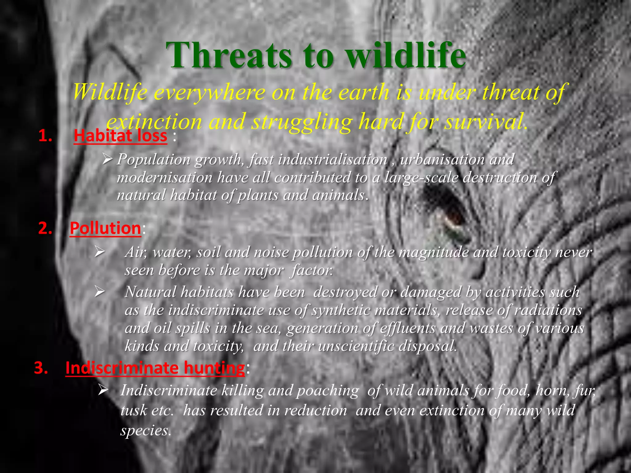 Wildlife conservation in India(ppt) | PPTX