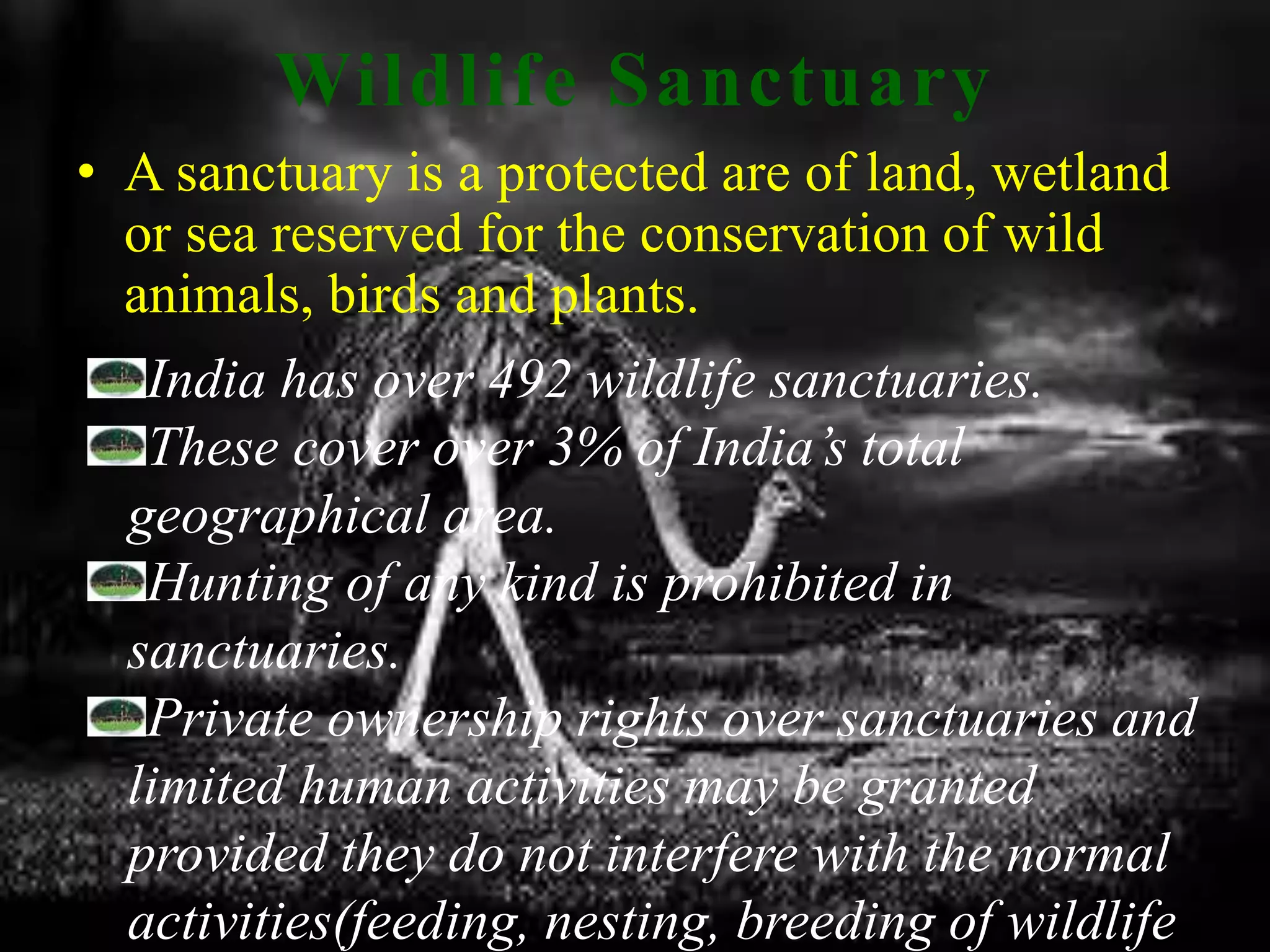 Wildlife conservation in India(ppt) | PPTX