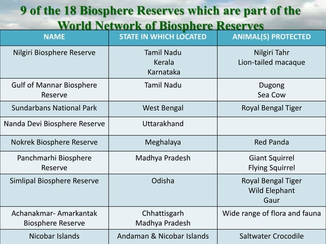 Wildlife conservation in India(ppt) | PPTX