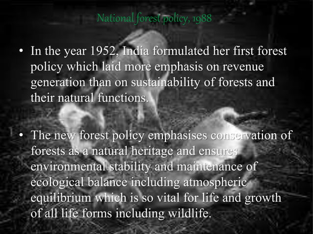 Wildlife conservation in India(ppt) | PPTX