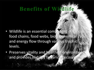 Wildlife conservation in India(ppt) | PPTX