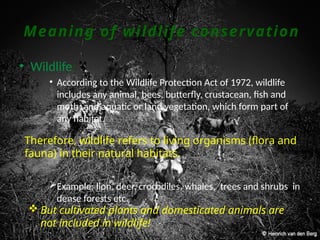 wildlifeconservationsuryanshsinghppt-140714000450-phpapp02 (1).pptx