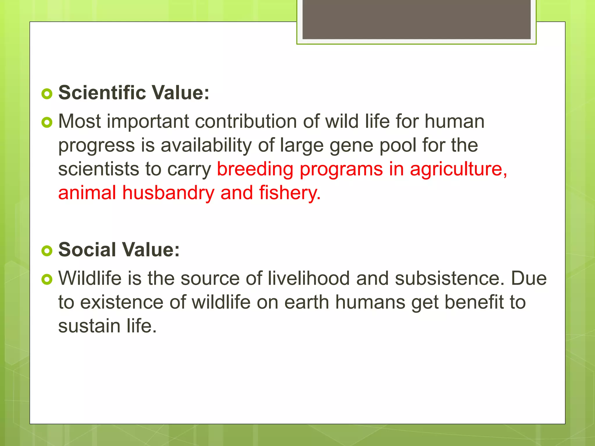 Wild life day | PPTX