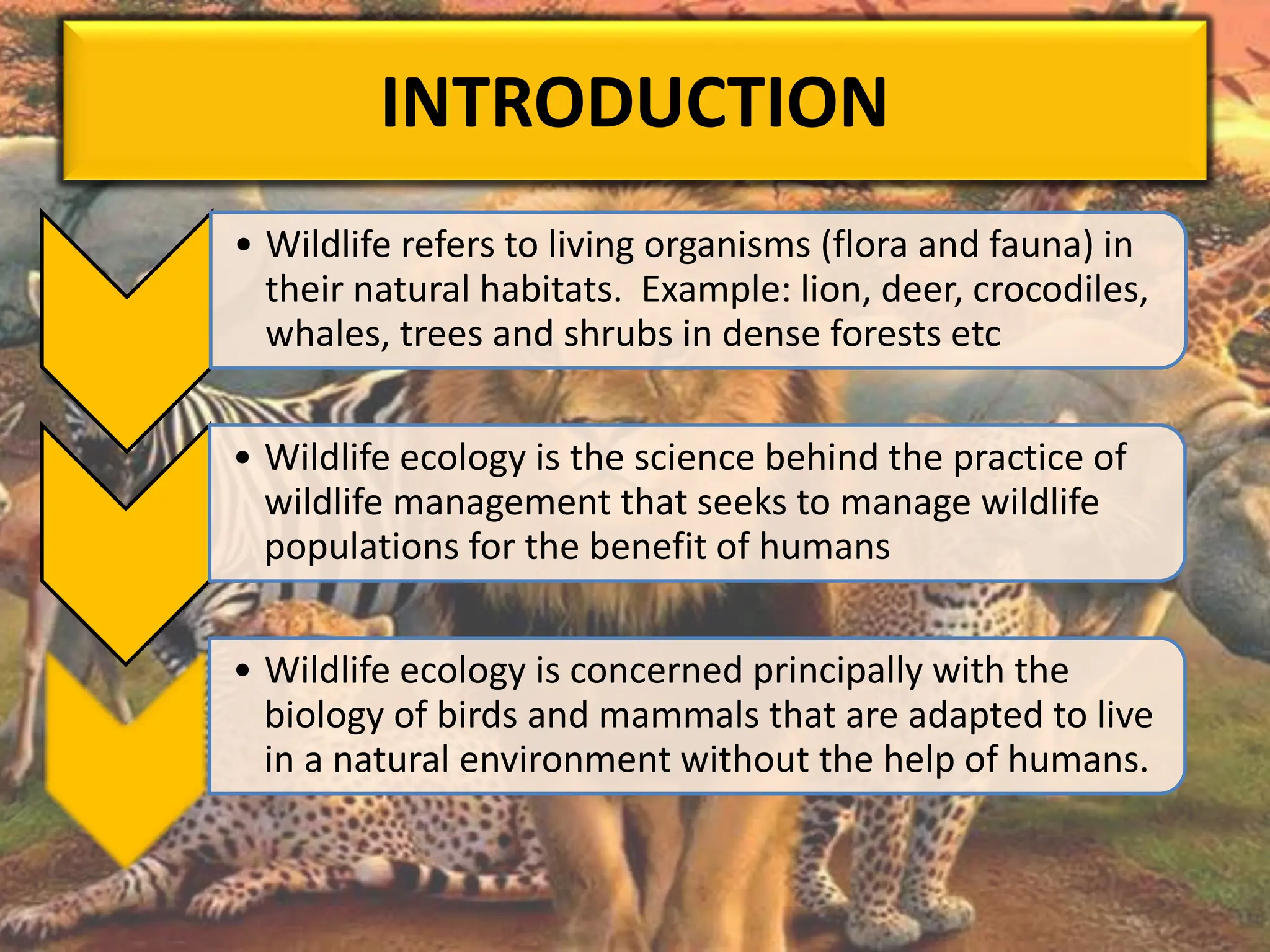 Complete Circle of Wildlife Ecology...pdf