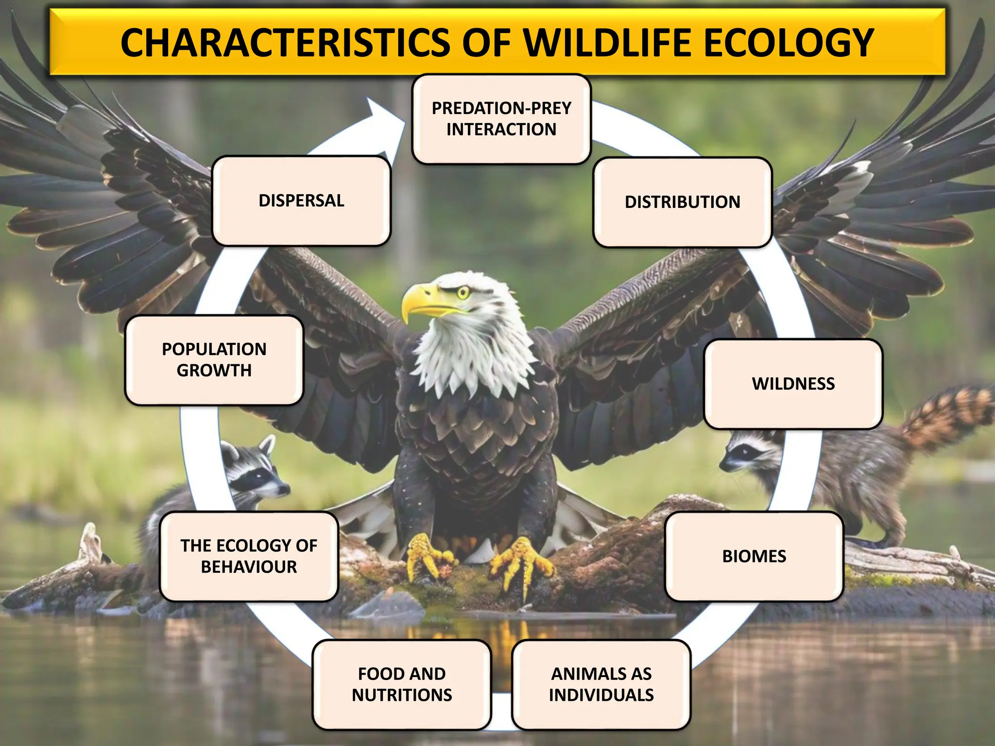 Complete Circle of Wildlife Ecology...pdf
