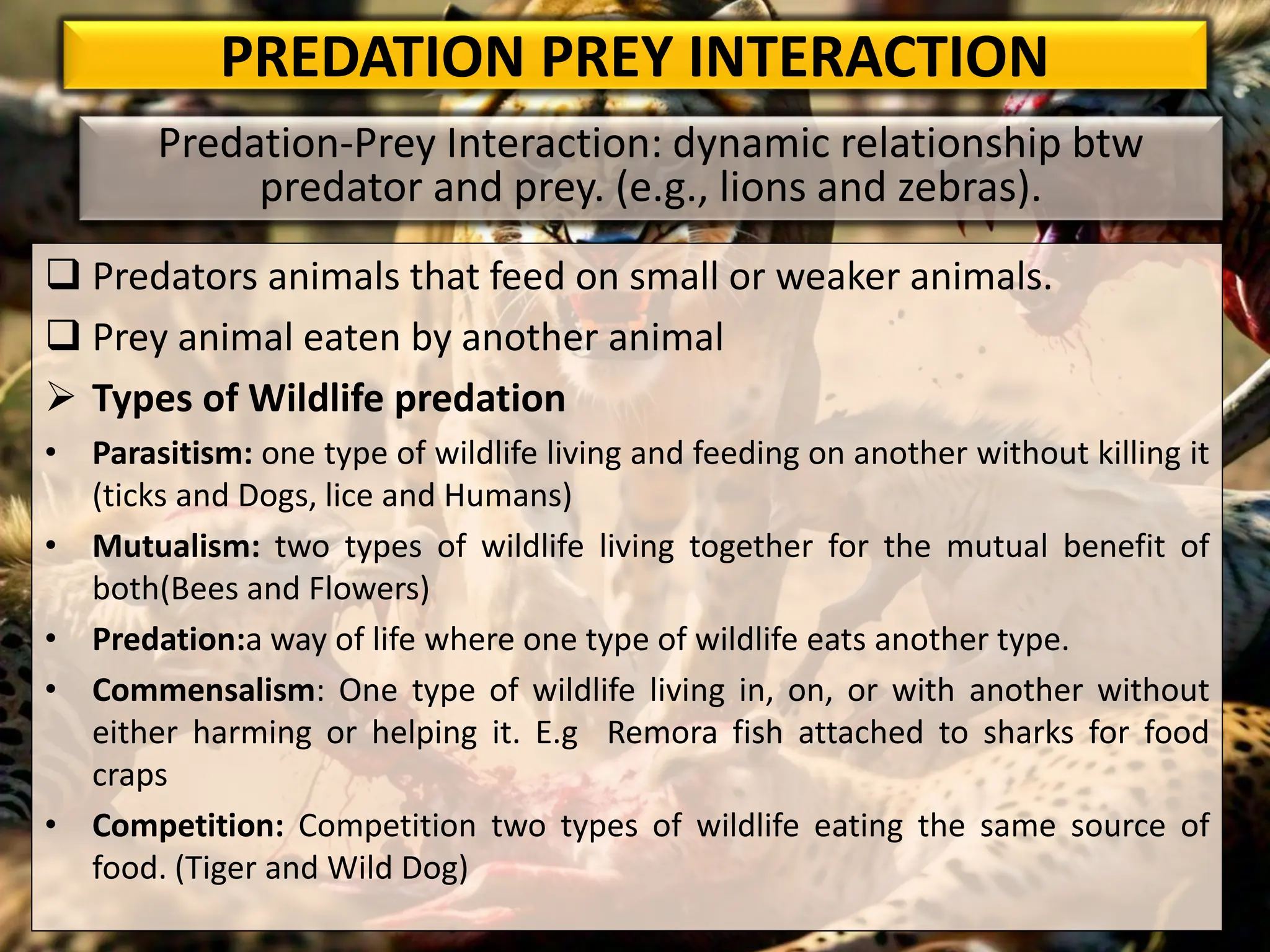Complete Circle of Wildlife Ecology...pdf