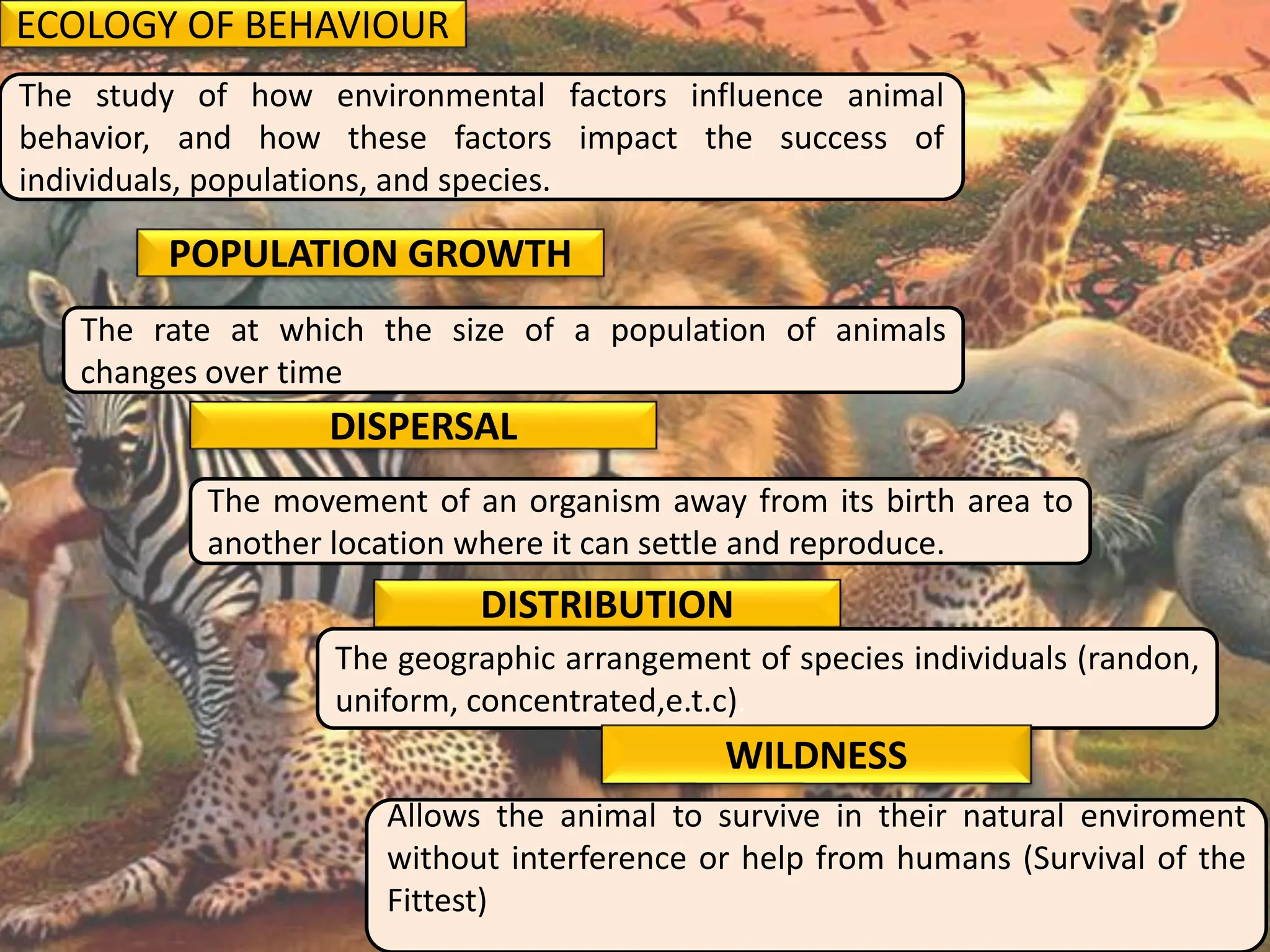 Complete Circle of Wildlife Ecology...pdf