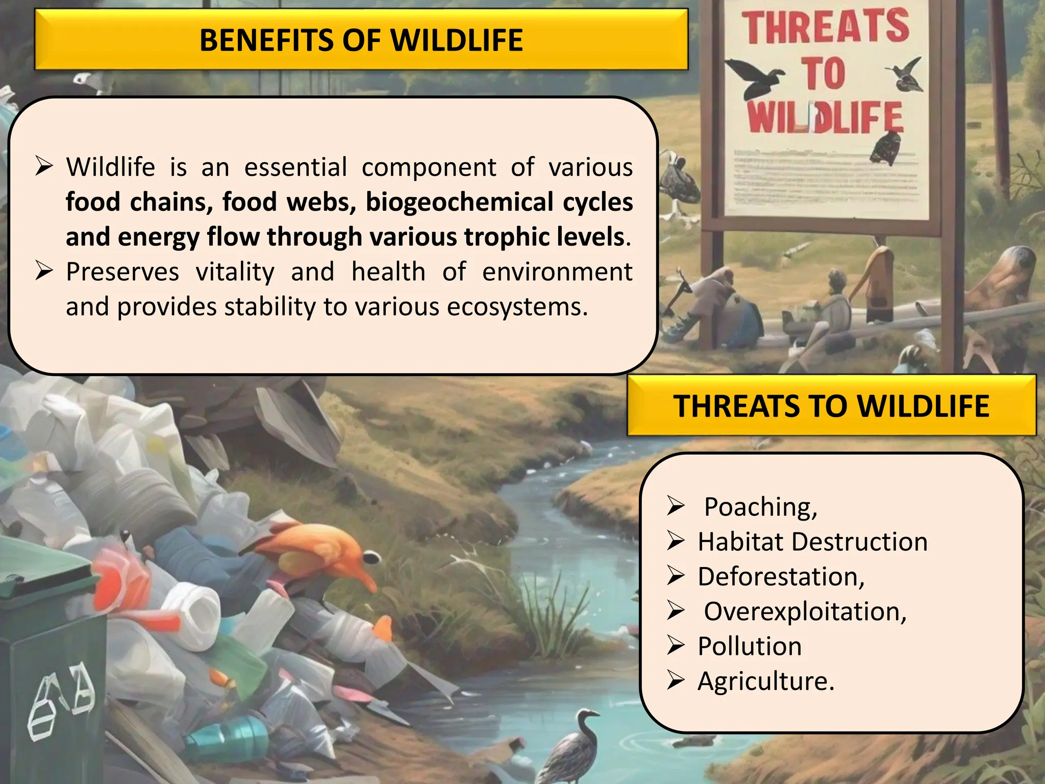 Complete Circle of Wildlife Ecology...pdf