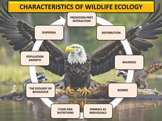 Complete Circle of Wildlife Ecology...pdf