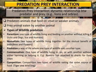 Complete Circle of Wildlife Ecology...pdf