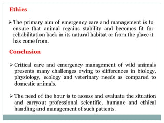 Wildlife emergency rescue | PPTX
