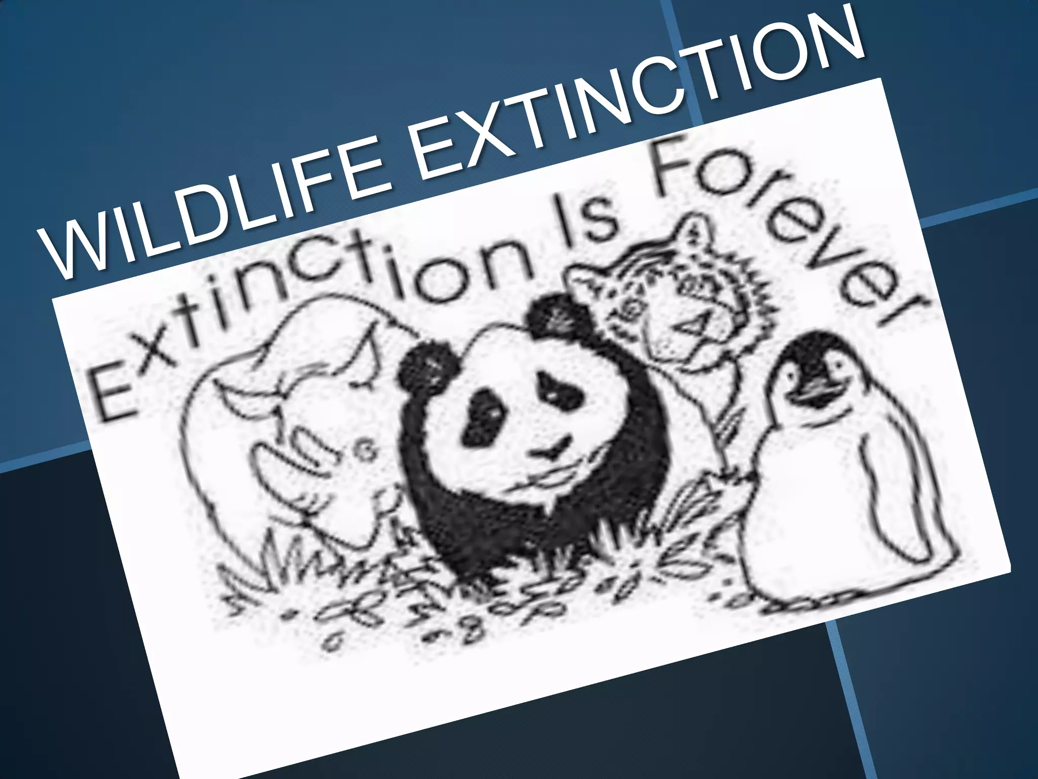 Wildlife extinction | PPTX | Environment | Science