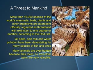 Wildlife extinction | PPTX