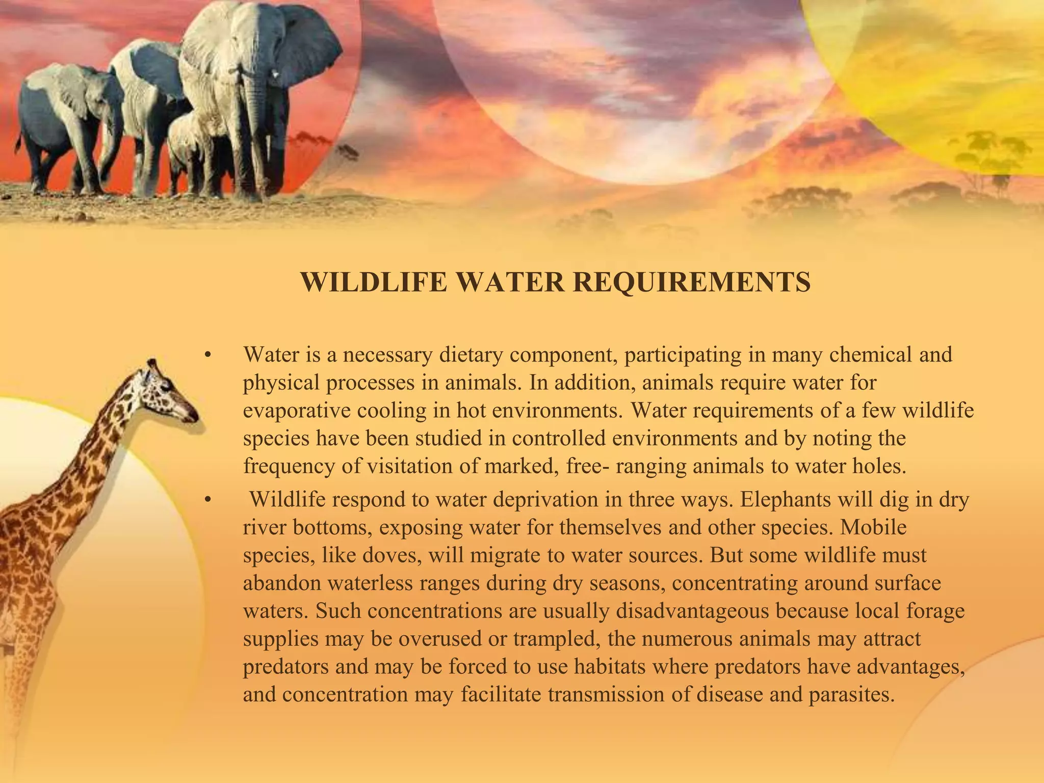Wildlife food,cover,water requirement | PPTX